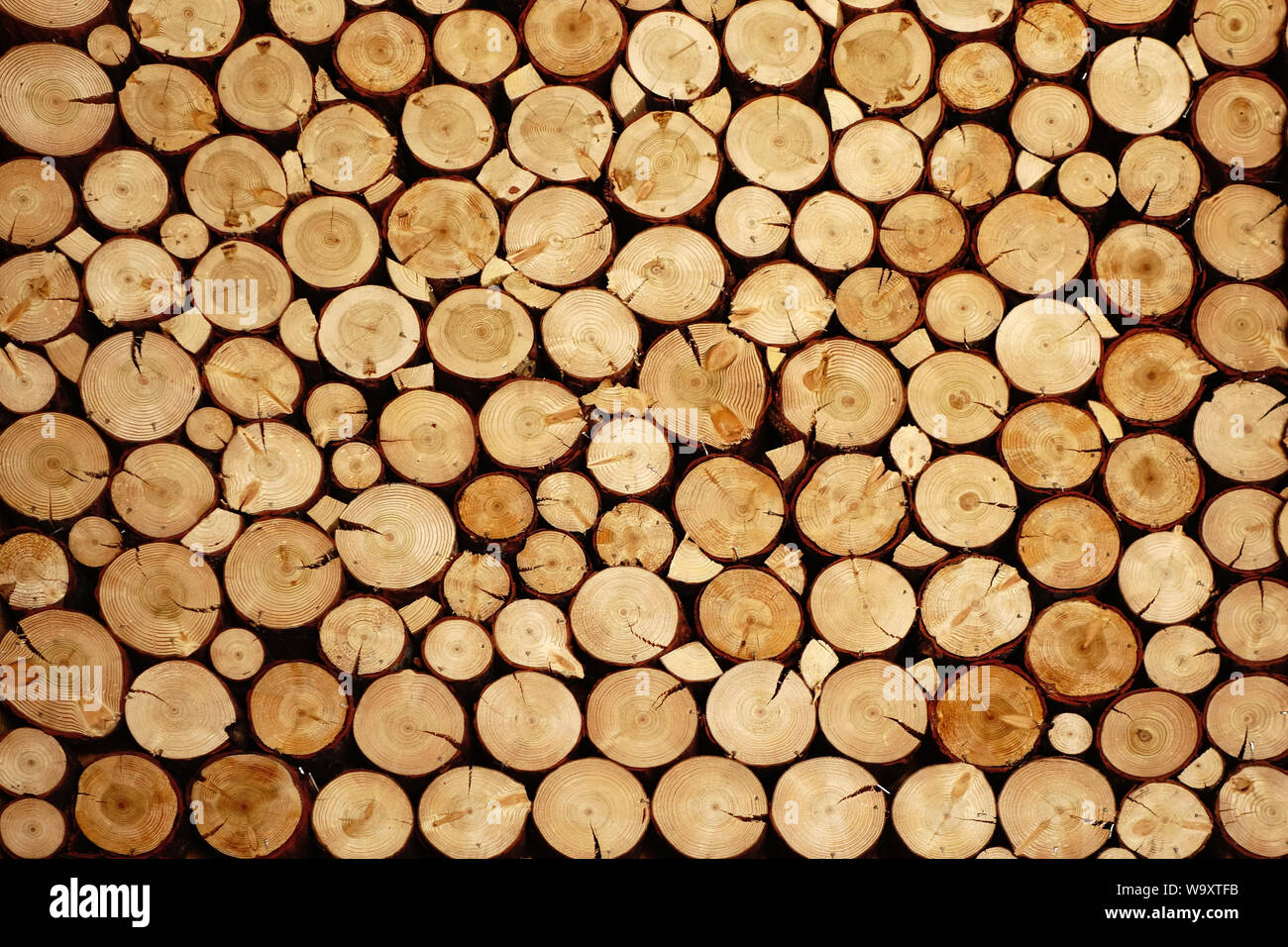 Timber walls hi-res stock photography and images - Alamy