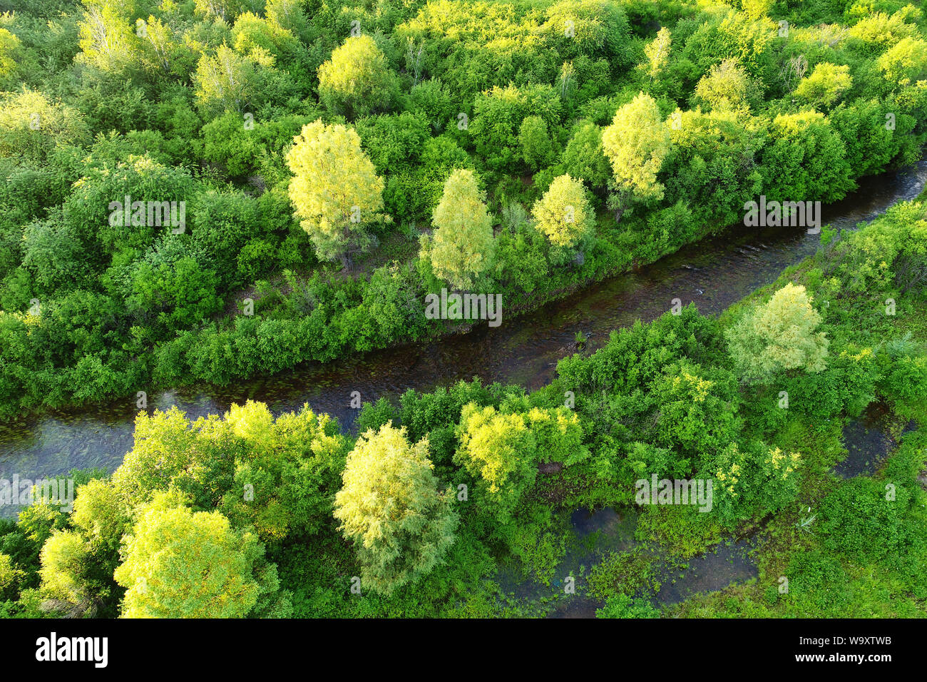 Aerial trees stream Stock Photo - Alamy