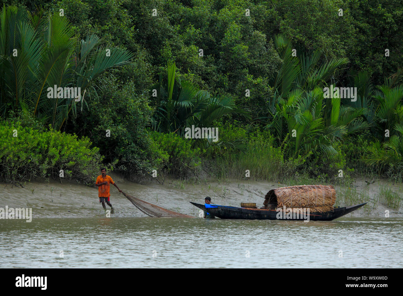 Fishermen catch inside the sundarbans, the largest mangrove forest in ...