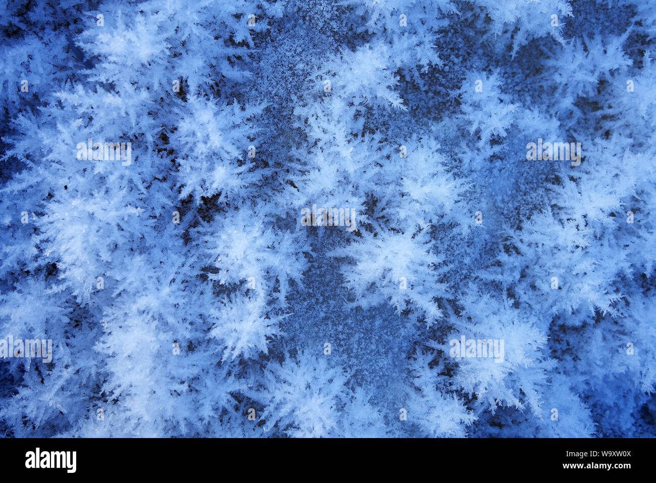 Translucent frost hi-res stock photography and images - Alamy