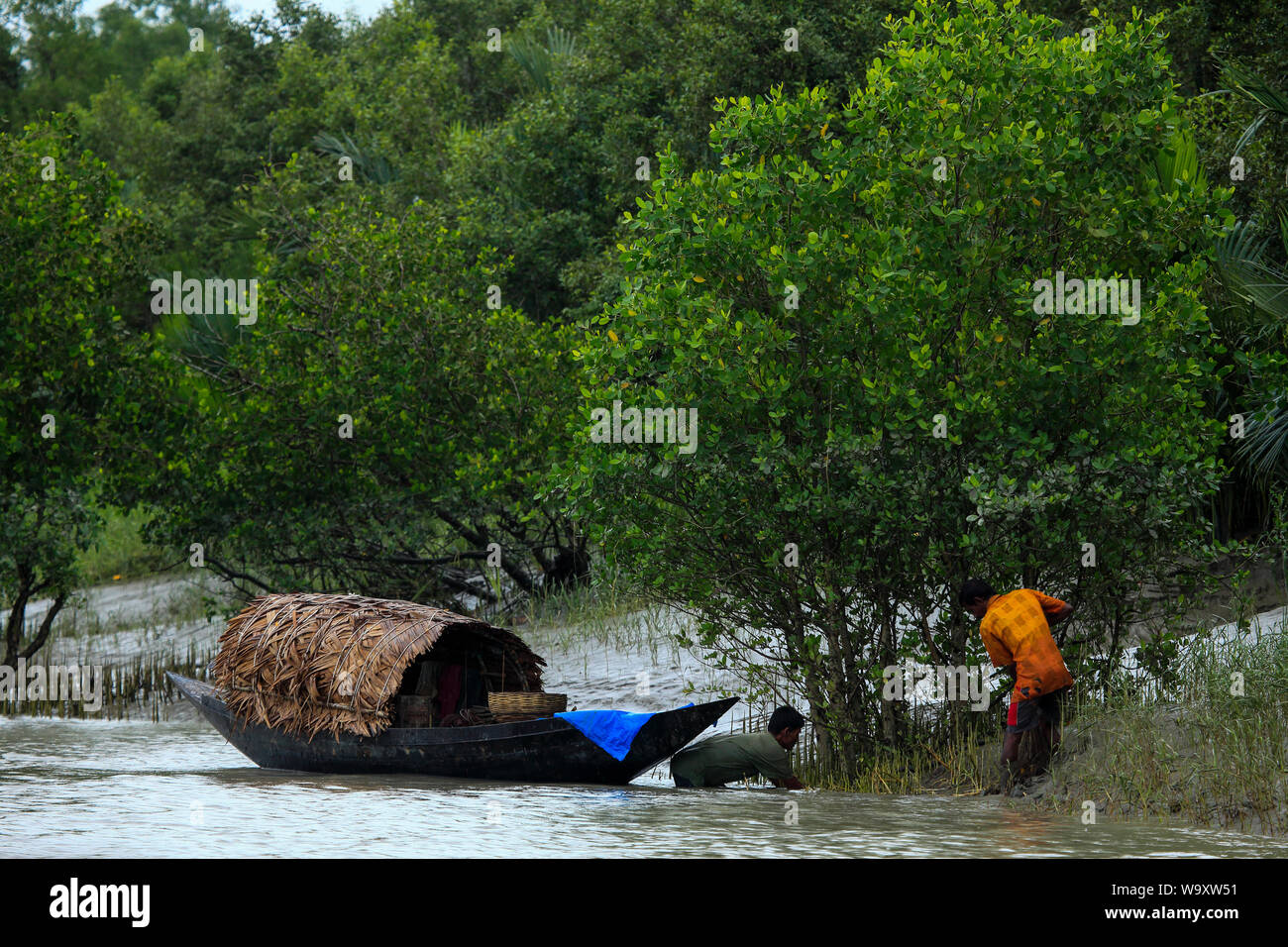 Fishermen catch inside the sundarbans, the largest mangrove forest in ...