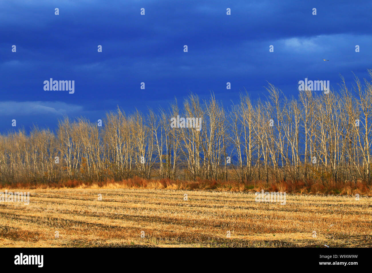 Farmland protection hi-res stock photography and images - Alamy