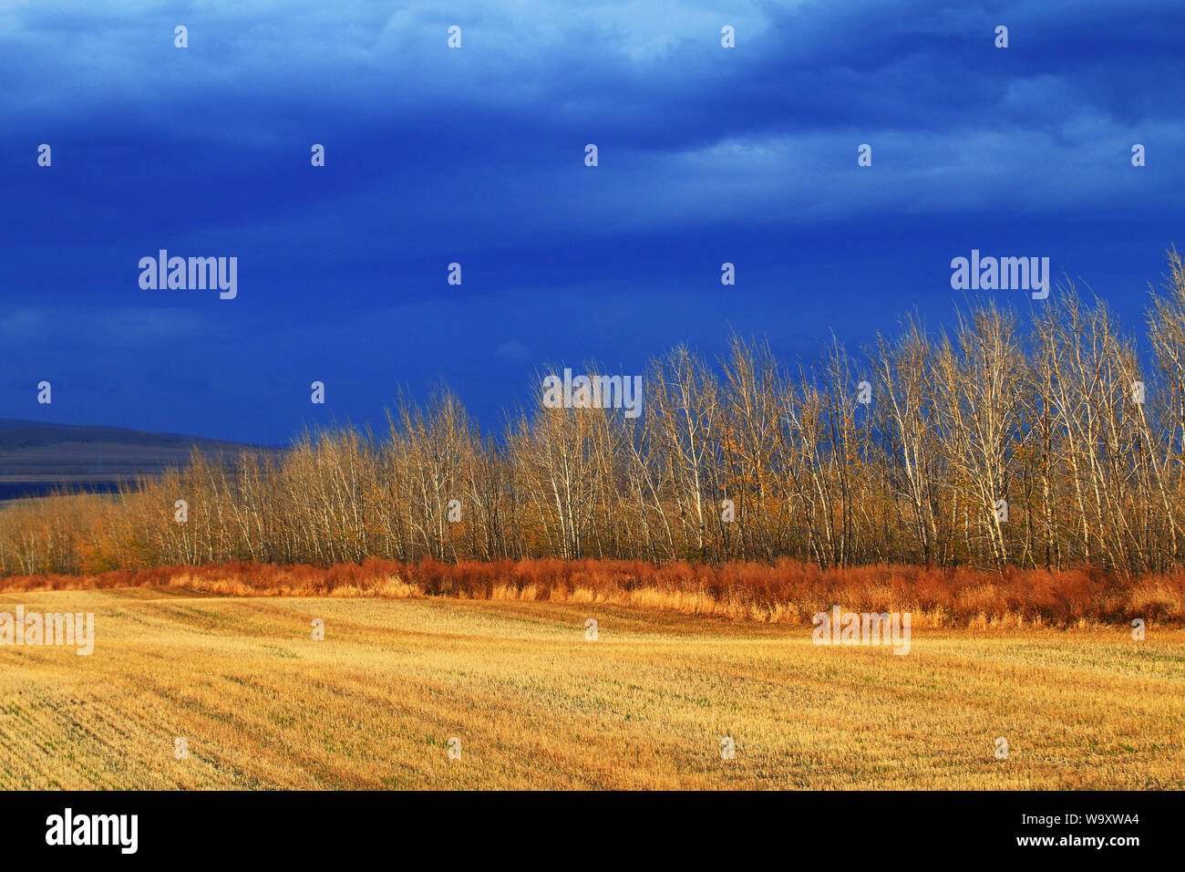 Late autumn scenery hi-res stock photography and images - Alamy