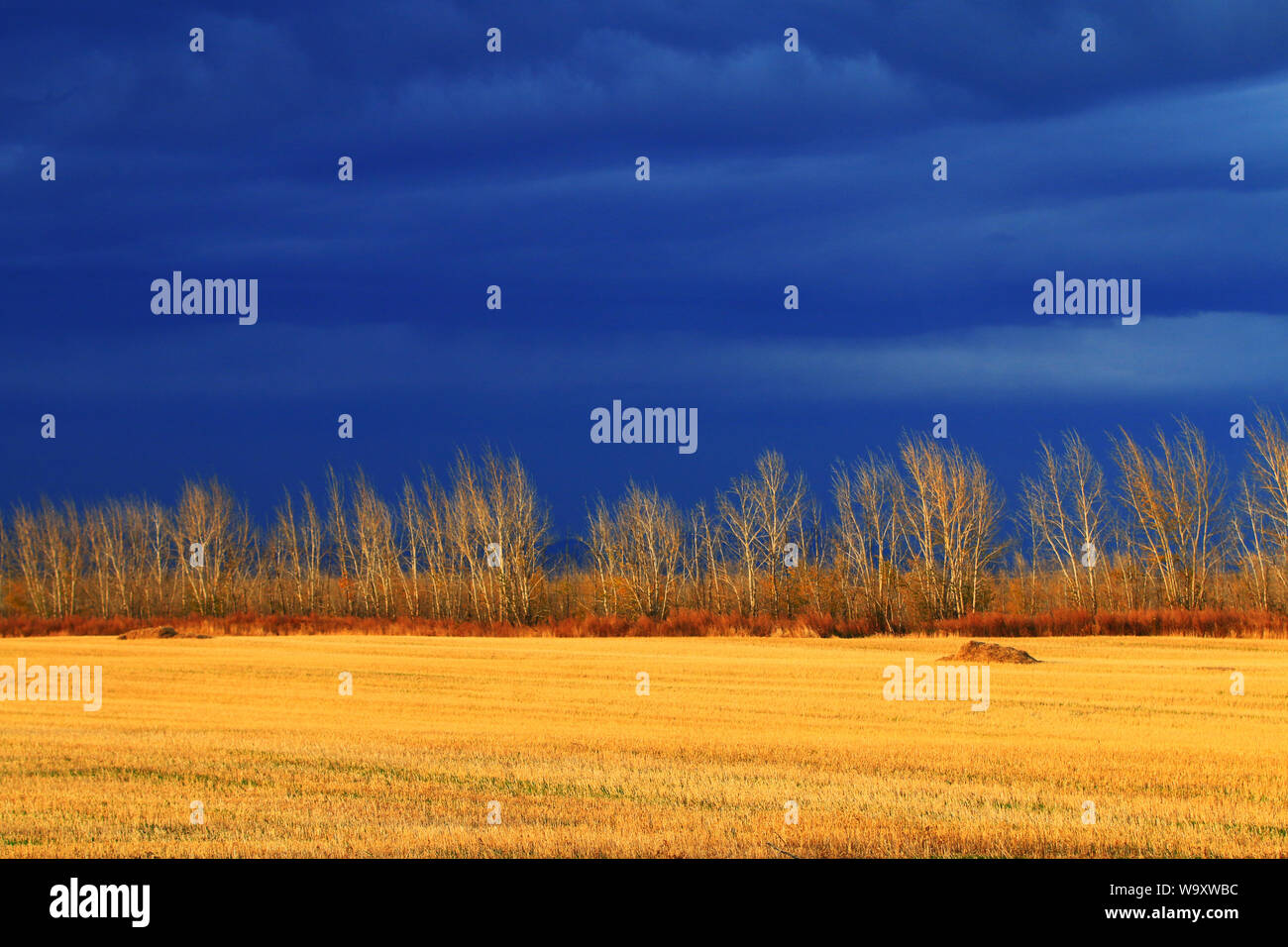 Gold flow hi-res stock photography and images - Alamy