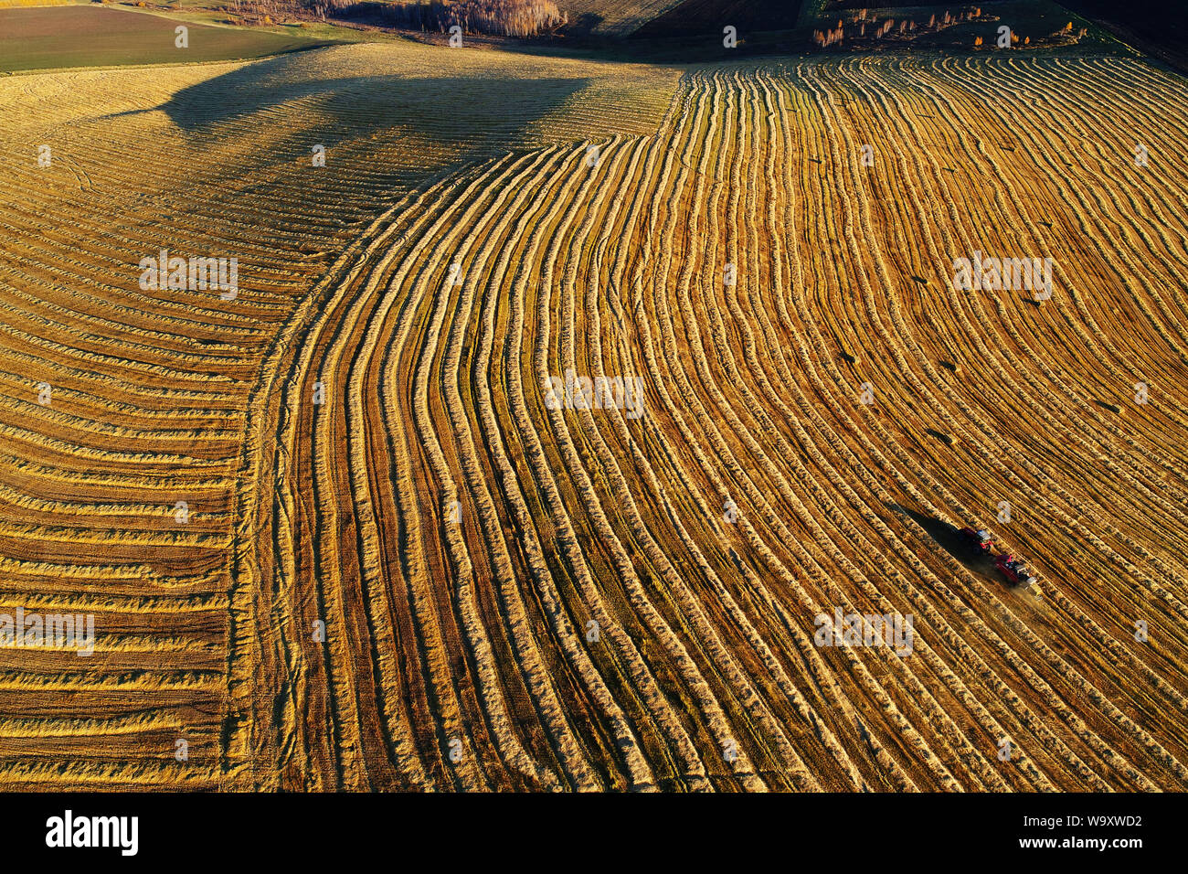 Agricultural and pastoral scenery hi-res stock photography and images ...