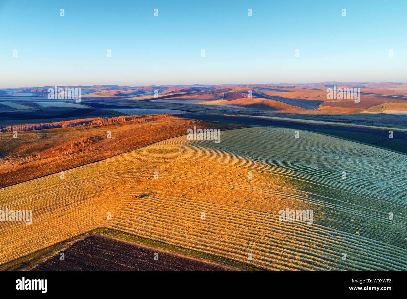 Tooth stone hi-res stock photography and images - Alamy