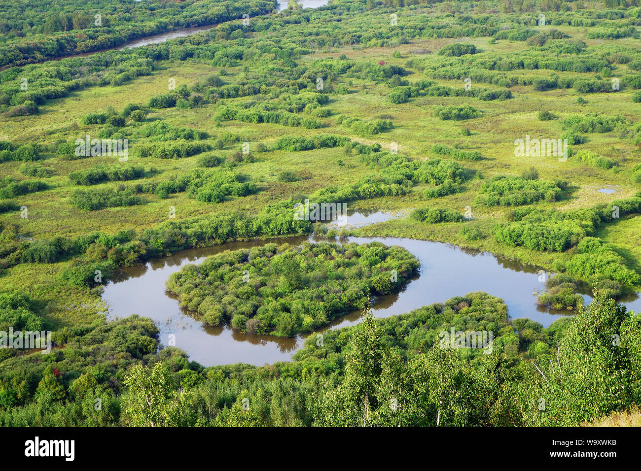 Mongolia forest hi-res stock photography and images - Alamy