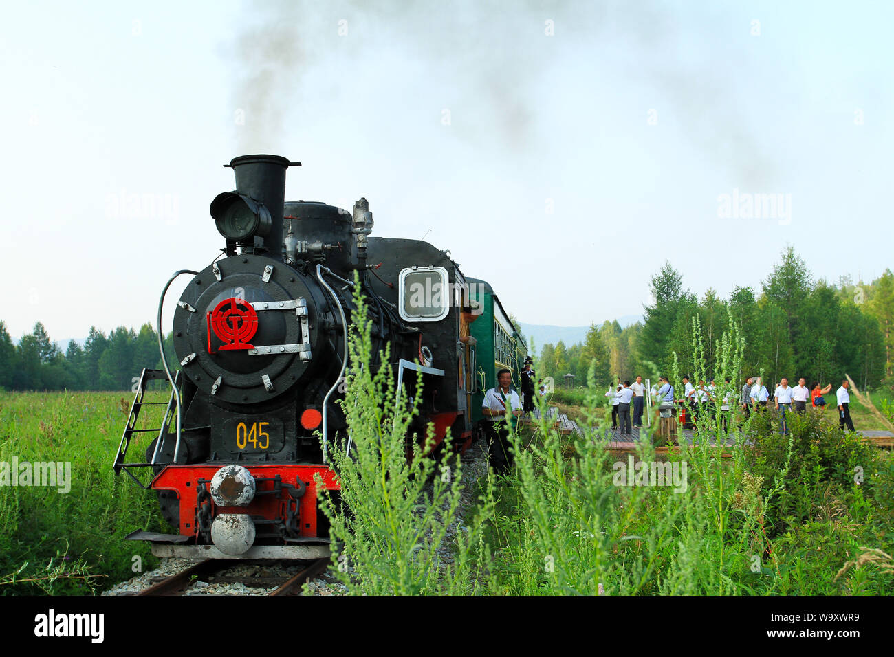 Forest small train Stock Photo - Alamy