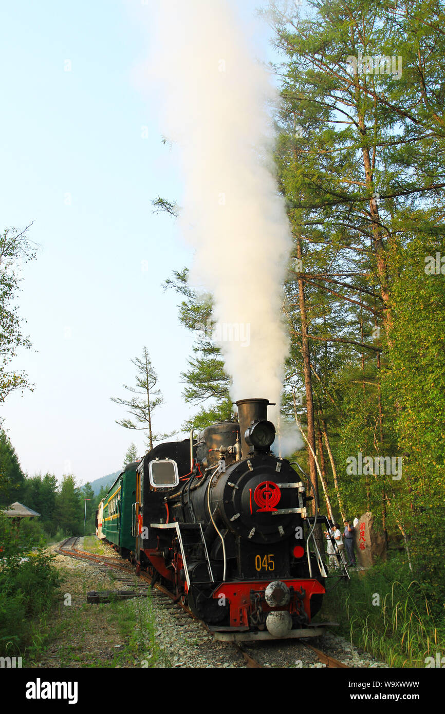 Forest small train Stock Photo - Alamy