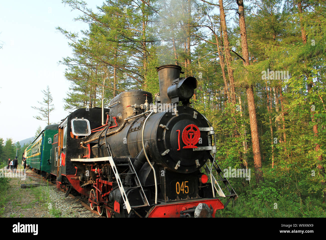 Forest small train Stock Photo - Alamy