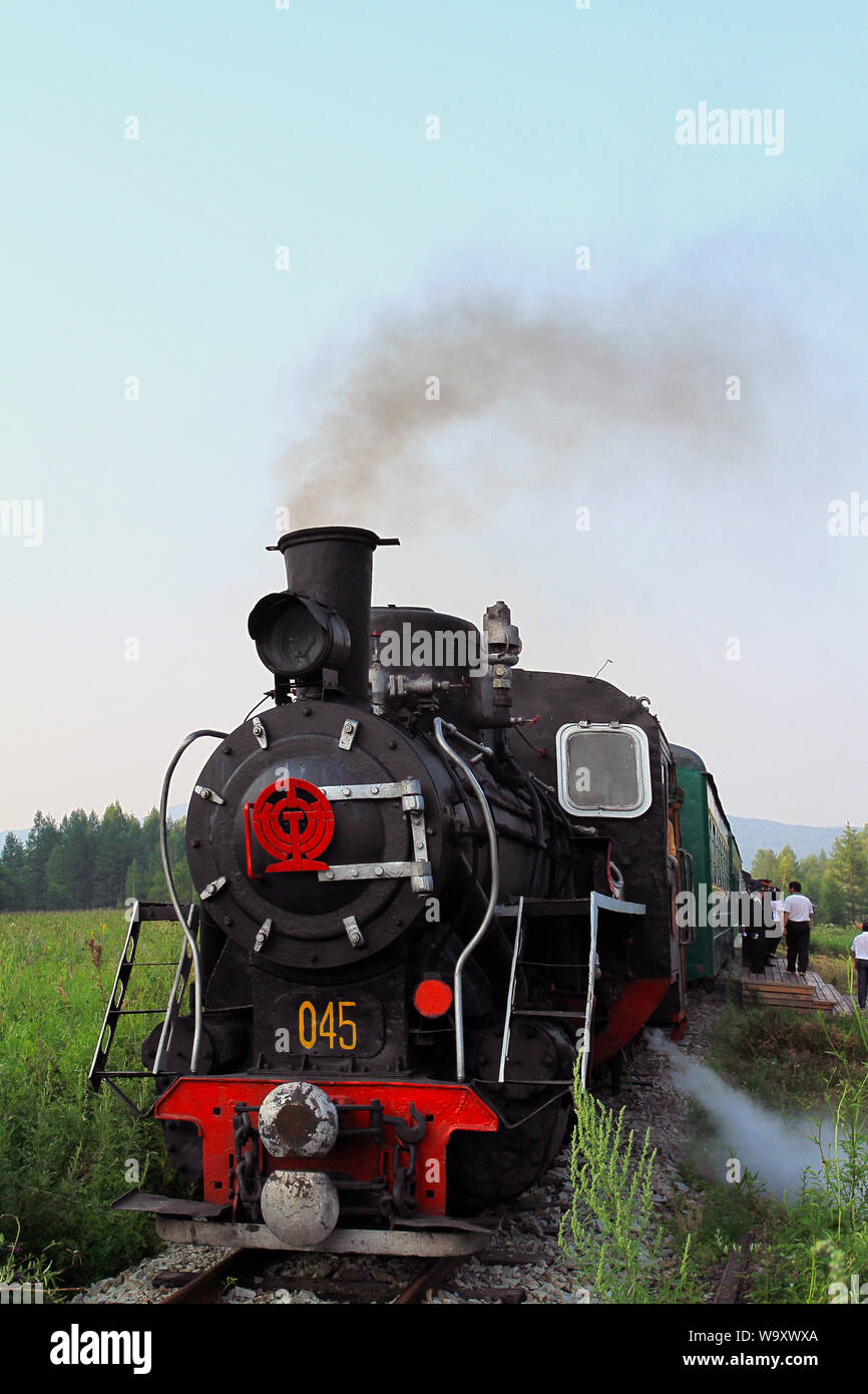 Forest small train Stock Photo - Alamy