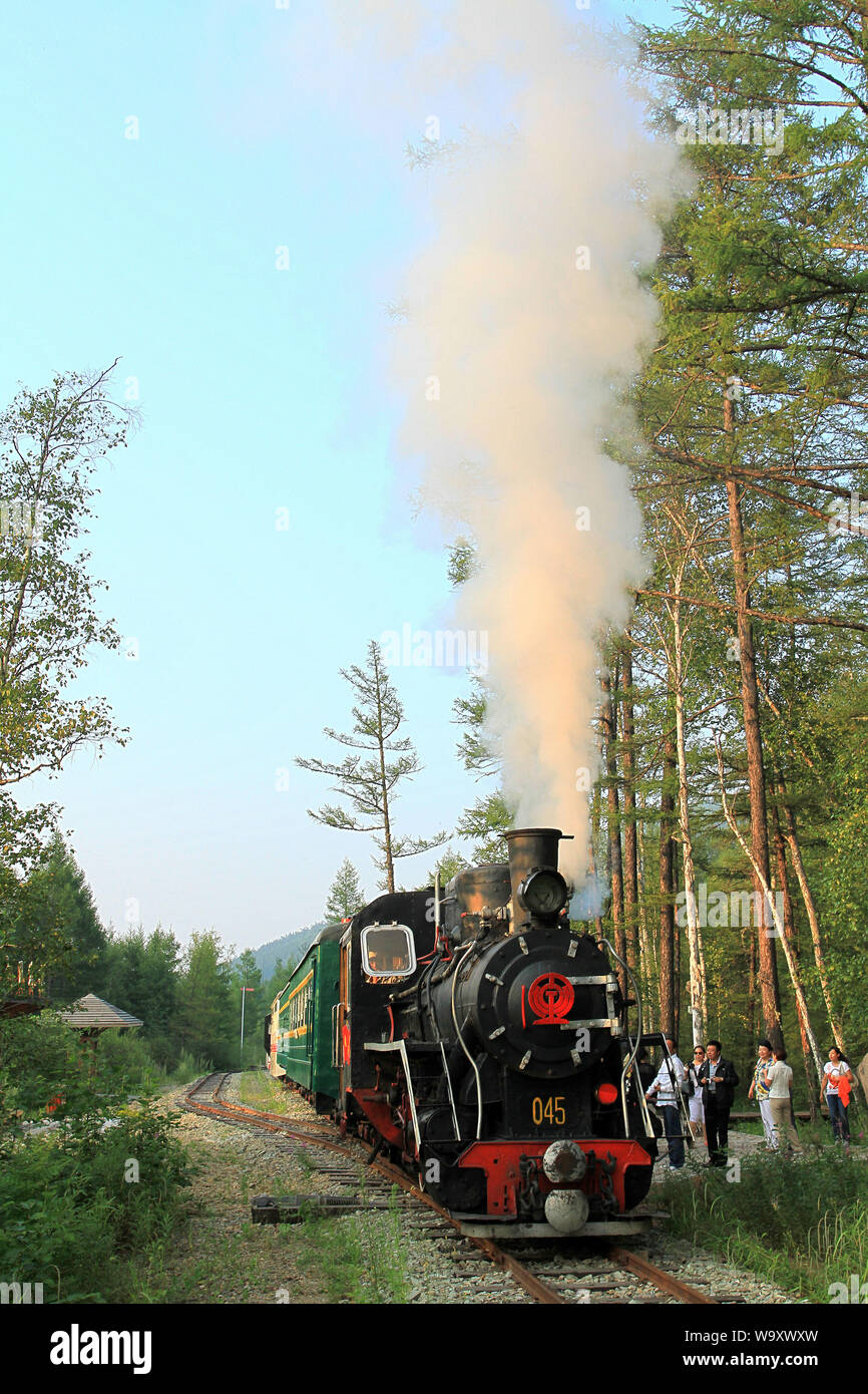 Forest small train Stock Photo - Alamy