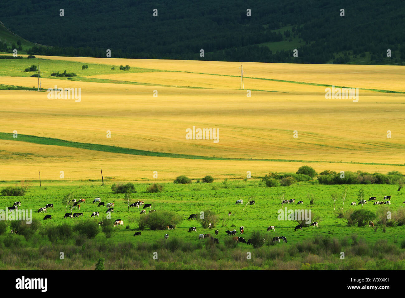 Hulunbuir Farmland High Resolution Stock Photography and Images - Alamy