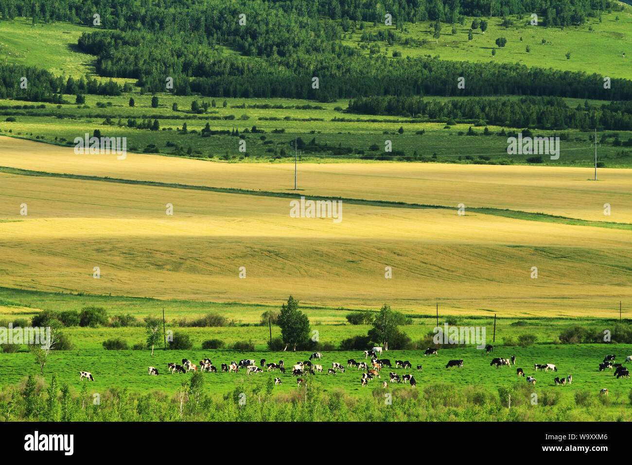 Rural agricultural reclamation farms hi-res stock photography and ...