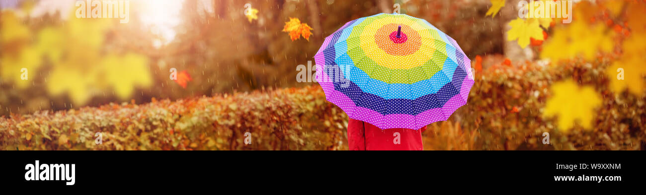 Autumn Rain Facebook Cover