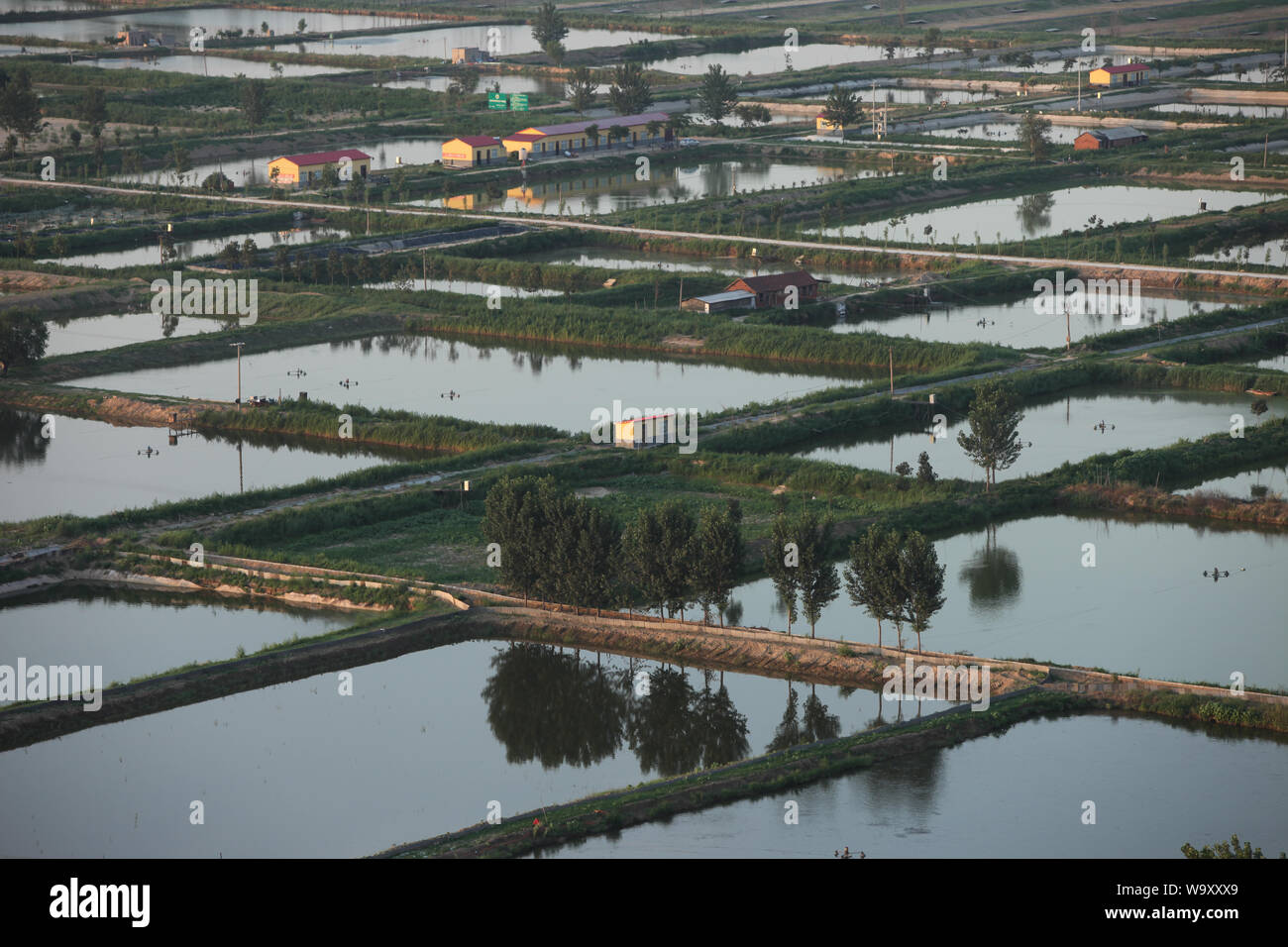 Aquaculture fish ponds hi-res stock photography and images - Alamy