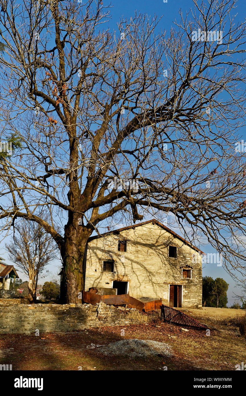 Old abandoned Tea factory Stock Photo - Alamy