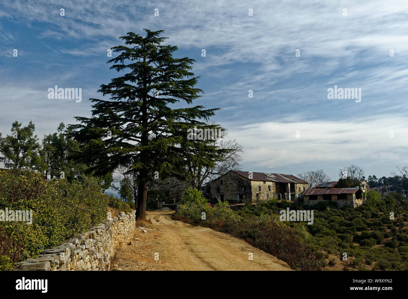 Old abandoned Tea factory Stock Photo - Alamy
