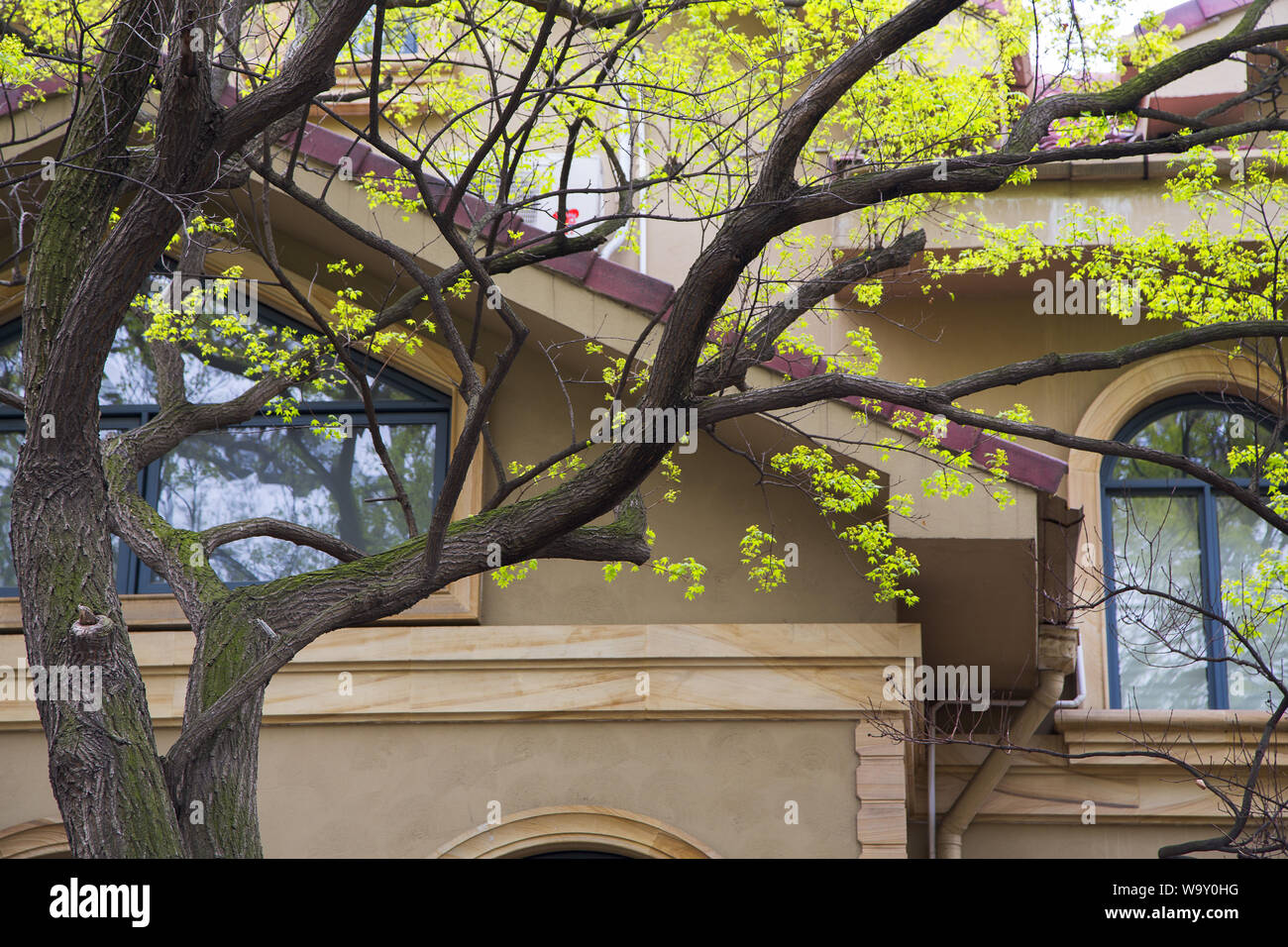 Spring scenic spot hi-res stock photography and images - Alamy