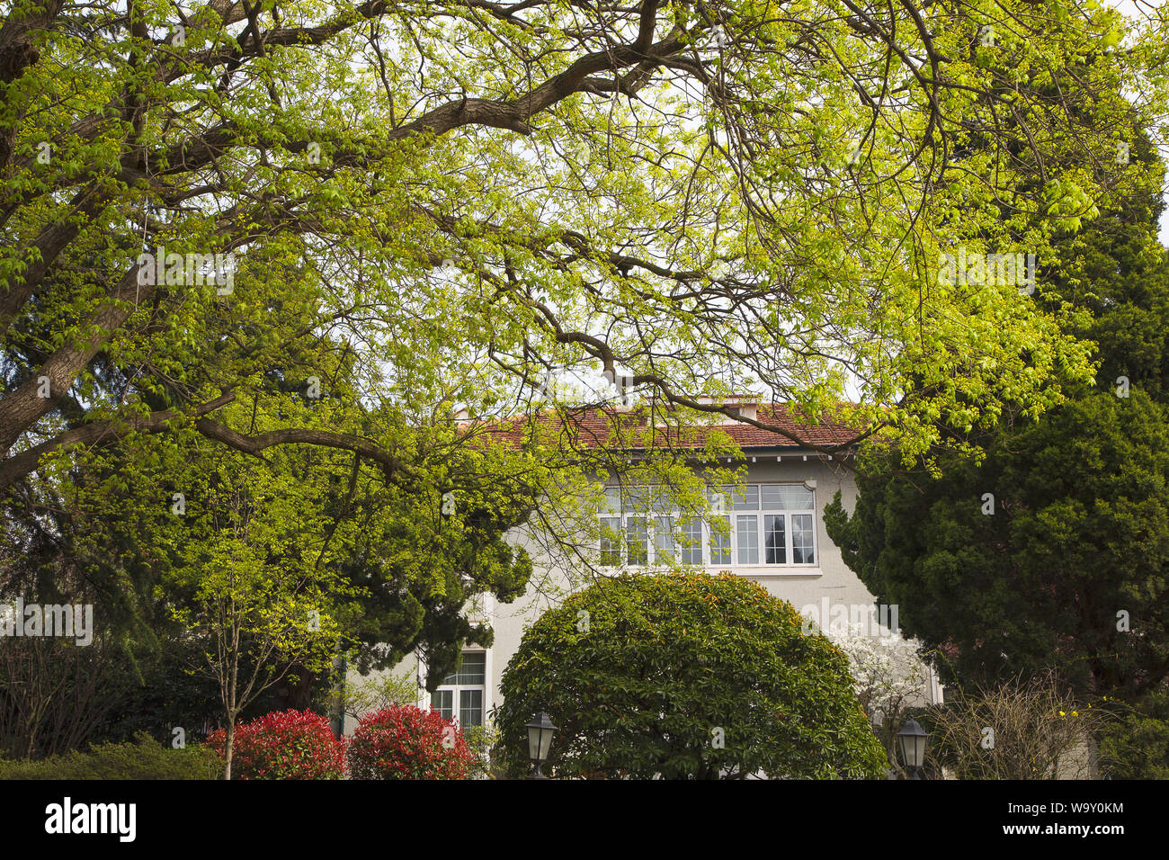 The eight light spring scenery Stock Photo - Alamy