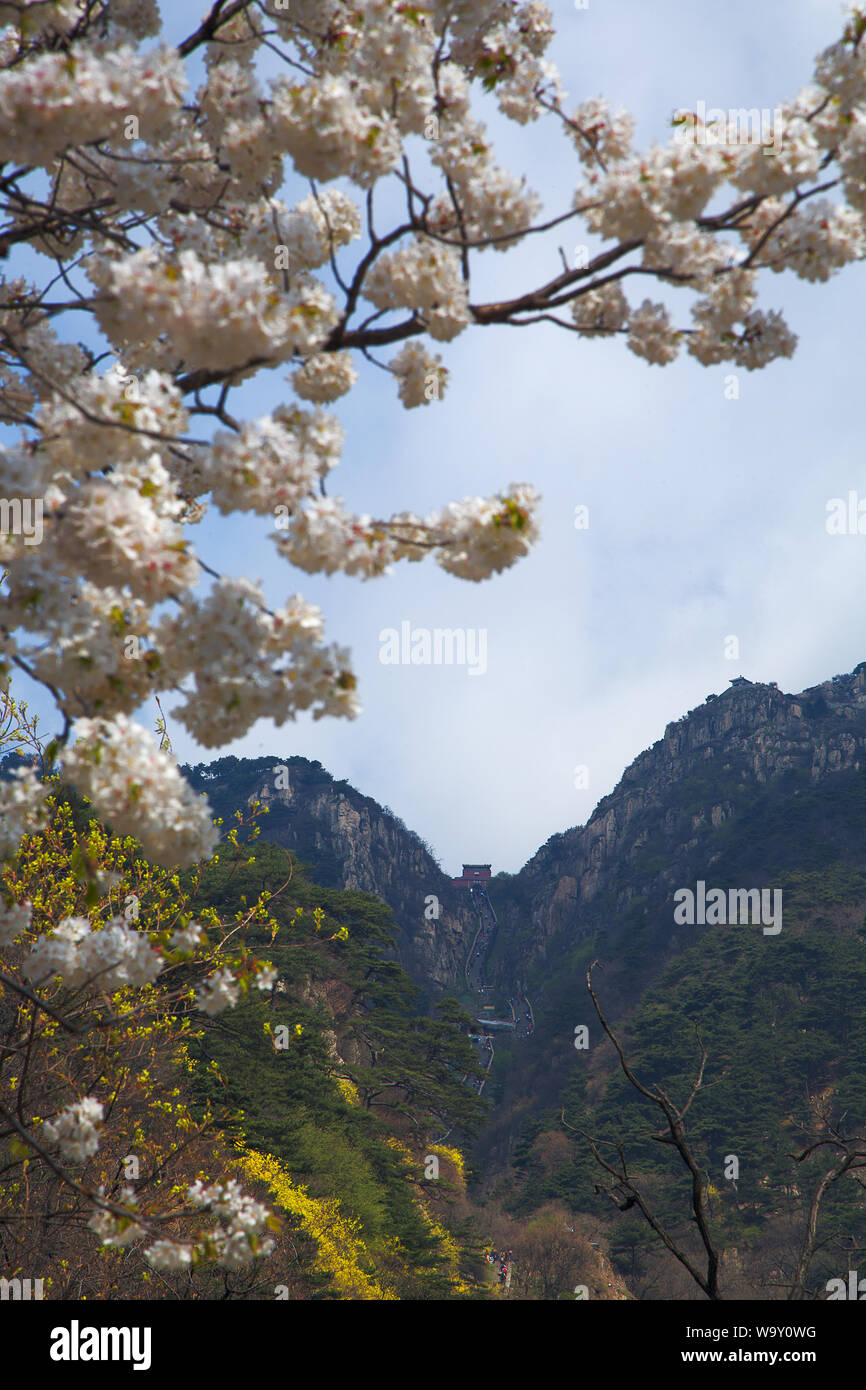 Chinese scenery hi-res stock photography and images - Alamy