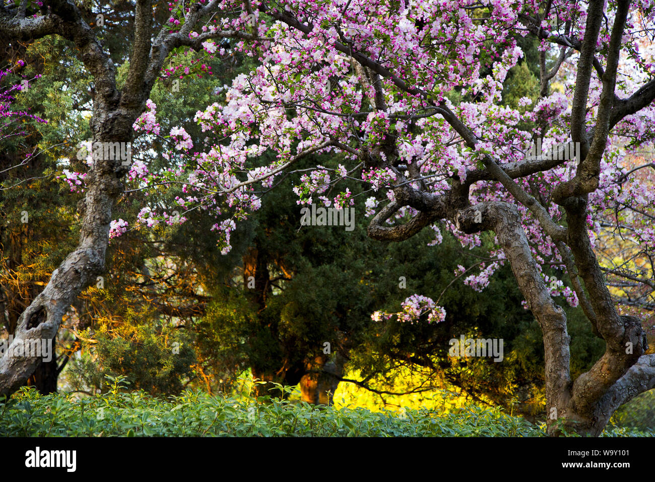Park beautification hi-res stock photography and images - Alamy