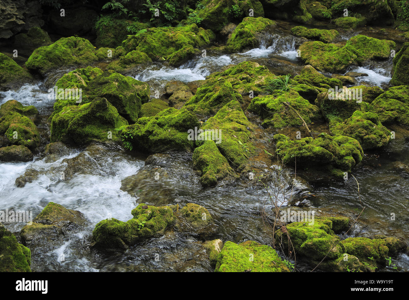 Libo small seven holes Stock Photo - Alamy