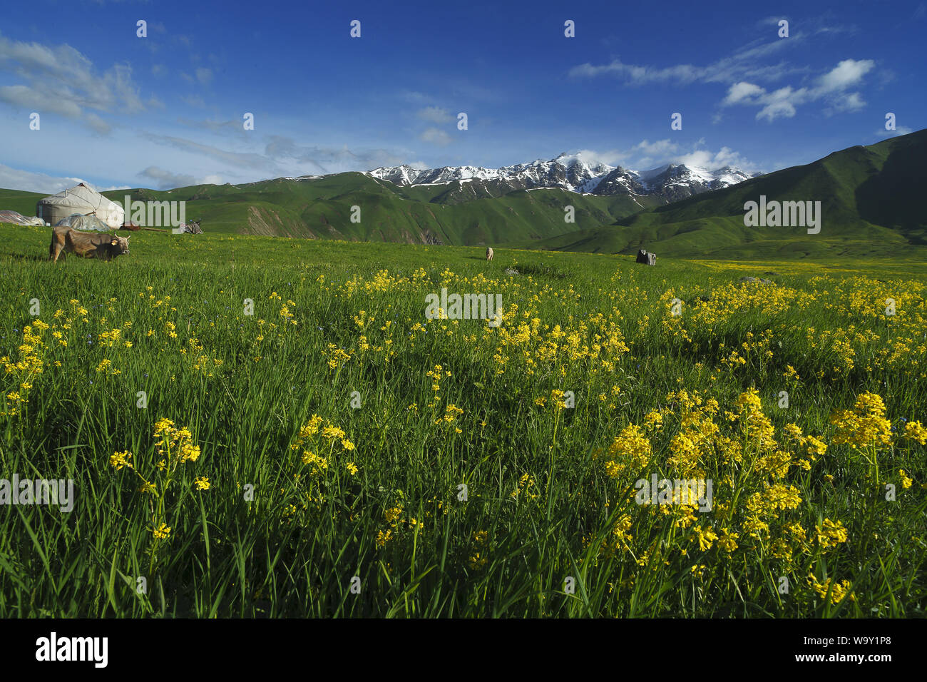 Scenery spring hi-res stock photography and images - Alamy
