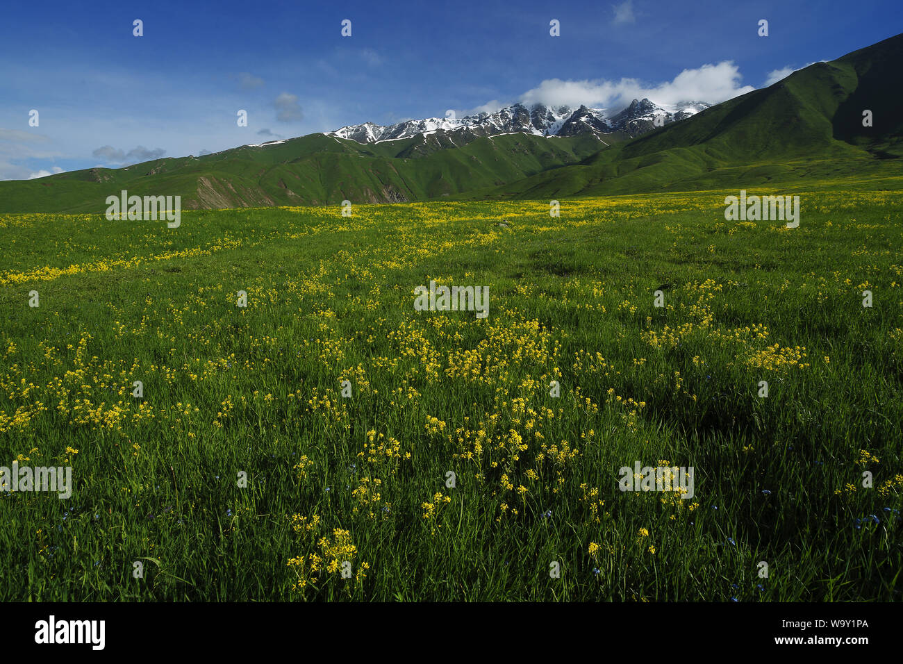 Grassland scenery hi-res stock photography and images - Alamy