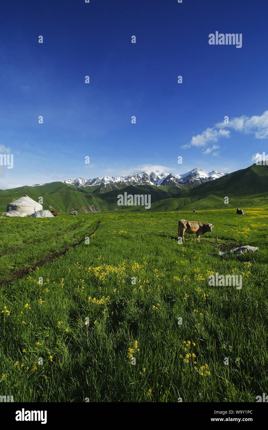 Grassland scenery hi-res stock photography and images - Alamy