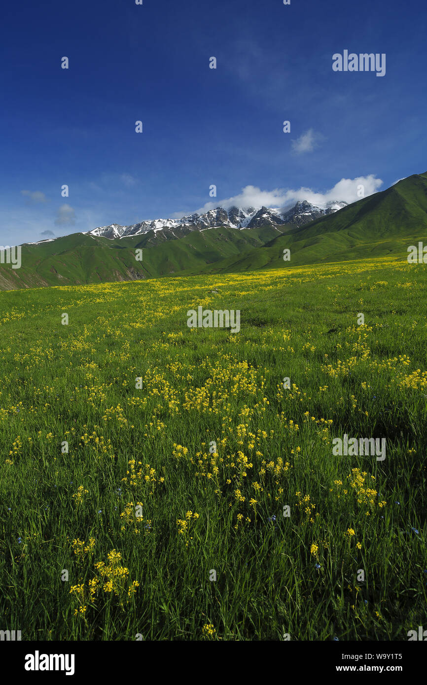 Grassland scenery hi-res stock photography and images - Alamy