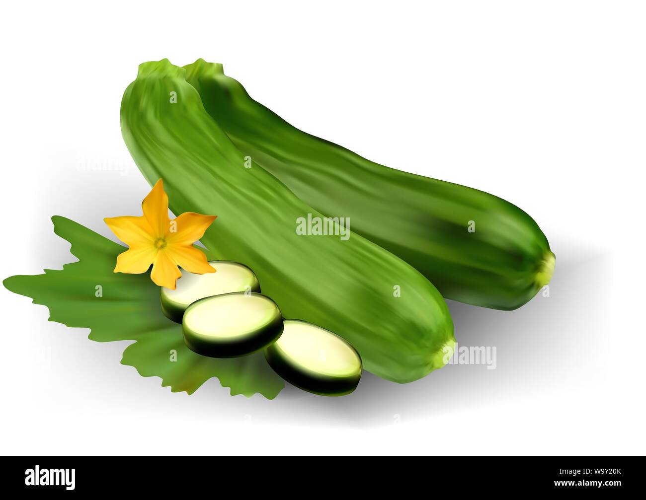 Courgettes flower Stock Vector Images - Alamy