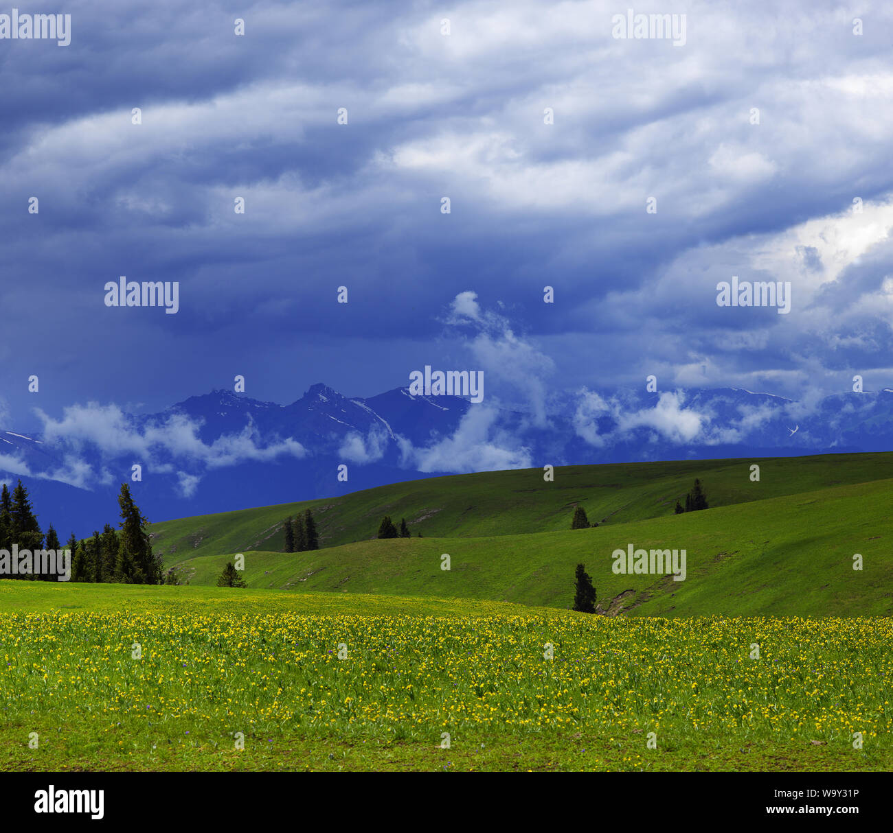 The prairie spring scenery Stock Photo - Alamy