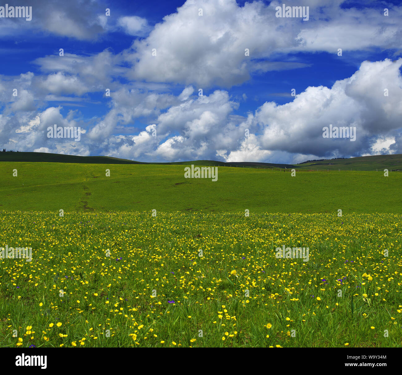 The prairie spring scenery Stock Photo - Alamy