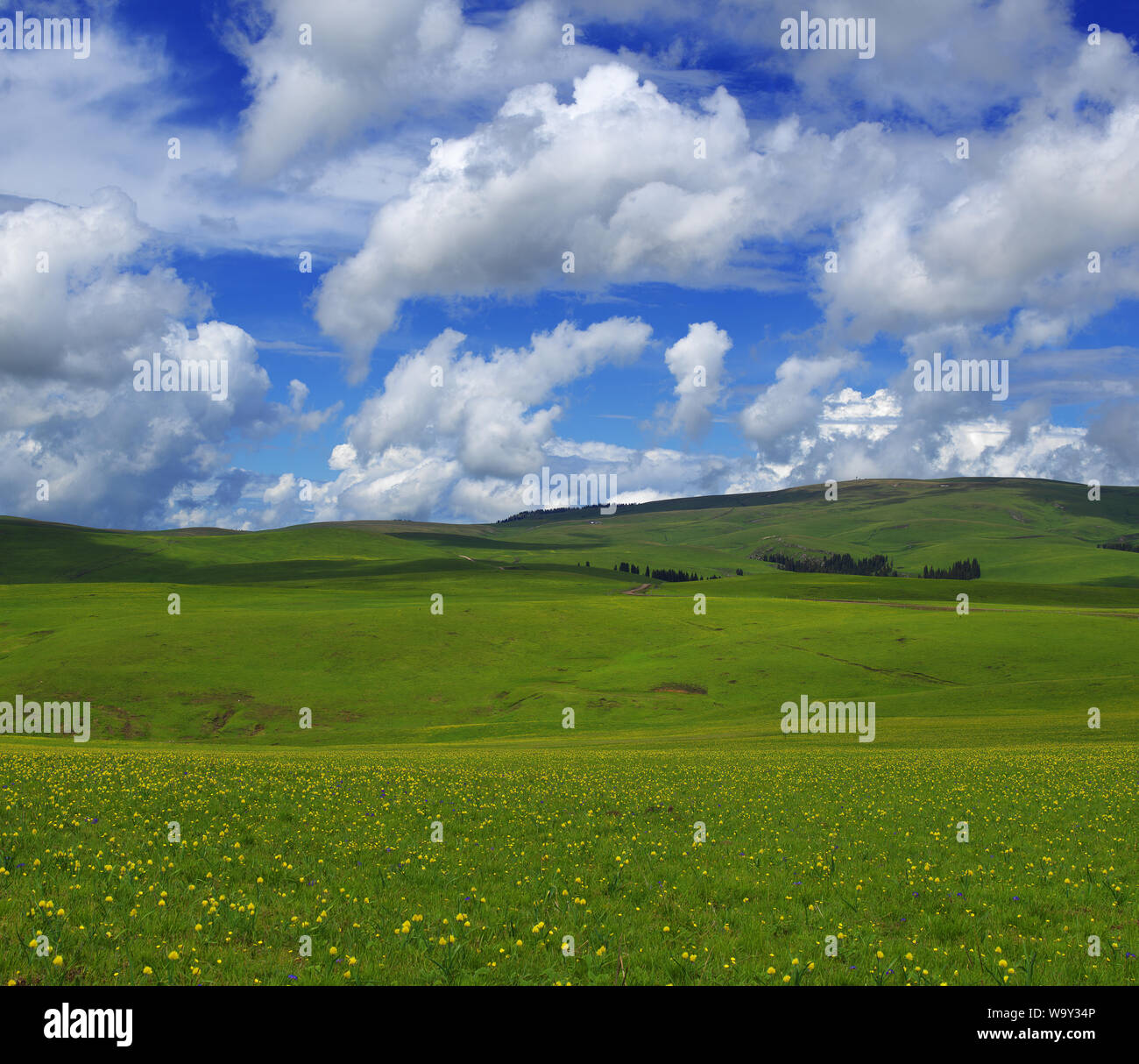 The prairie spring scenery Stock Photo - Alamy