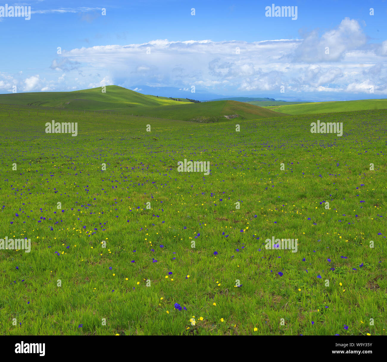 The prairie spring scenery Stock Photo - Alamy