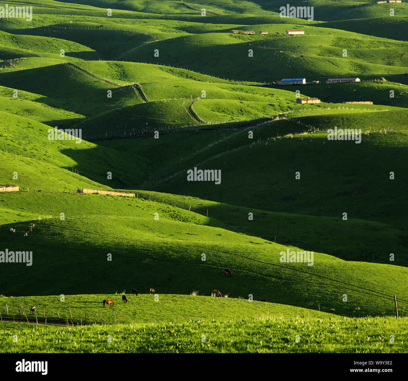 The prairie light Stock Photo - Alamy