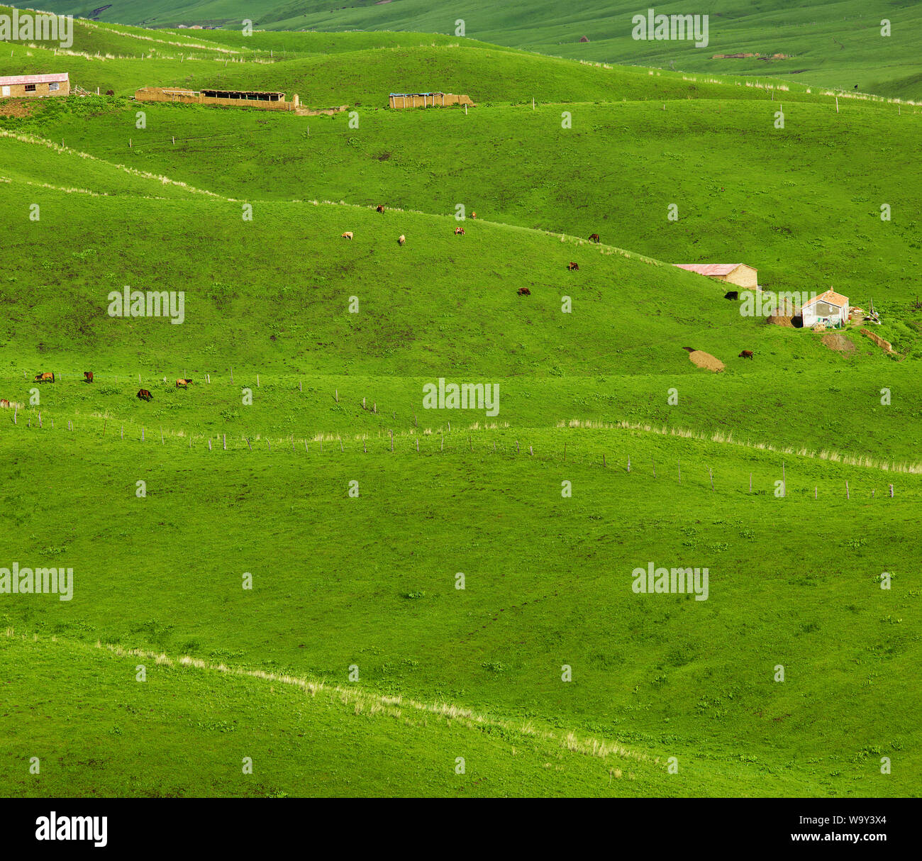 Prairie scenery hi-res stock photography and images - Alamy