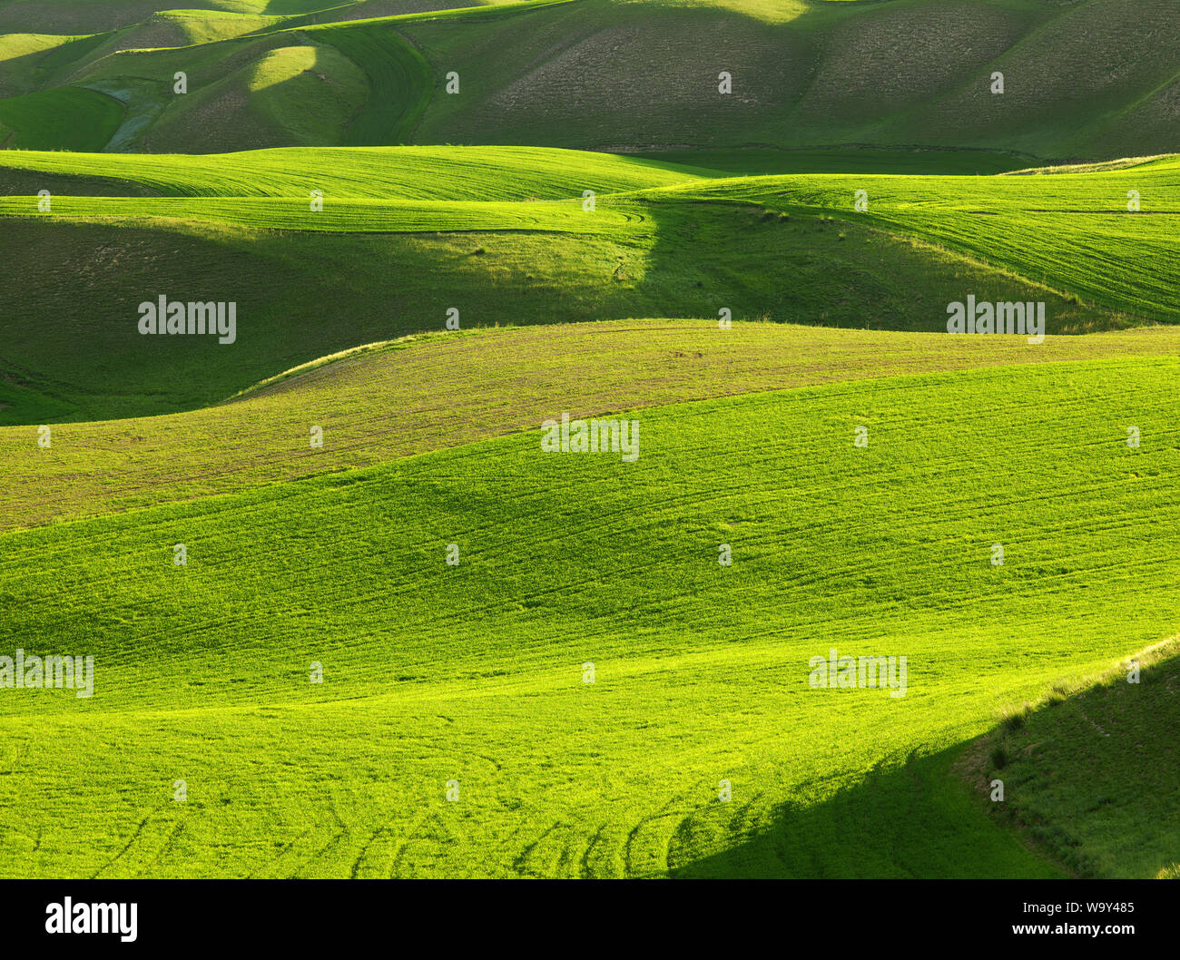 The prairie light Stock Photo - Alamy