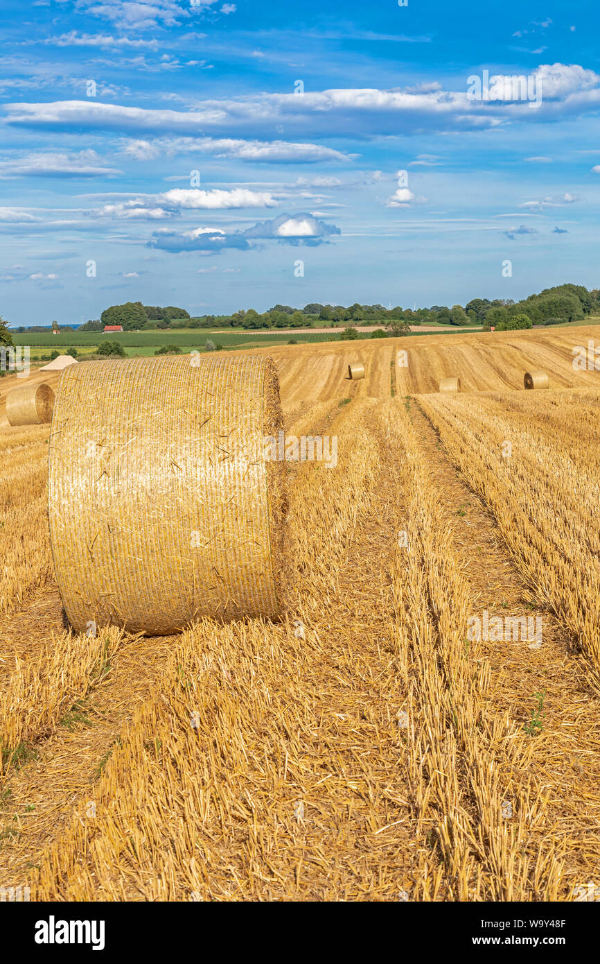 Hay bale in field bavaria hi-res stock photography and images - Alamy