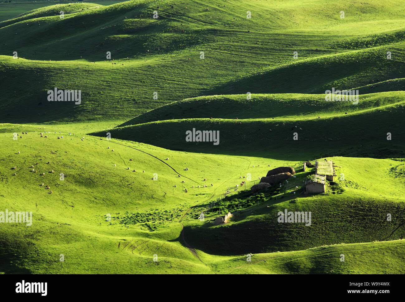The prairie light Stock Photo - Alamy