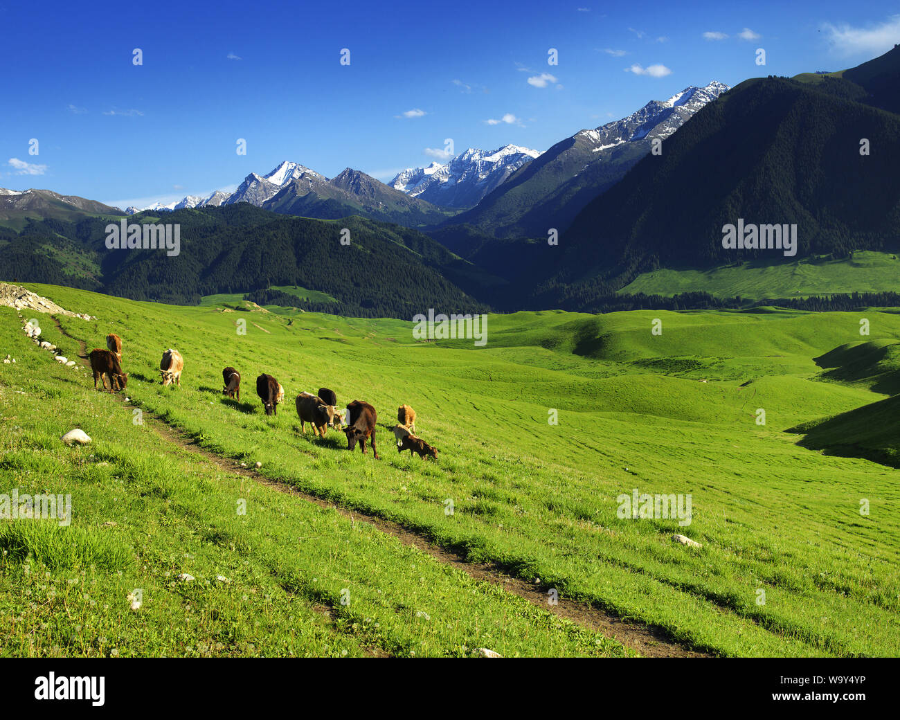 Continuous scenery and scenery hi-res stock photography and images - Alamy