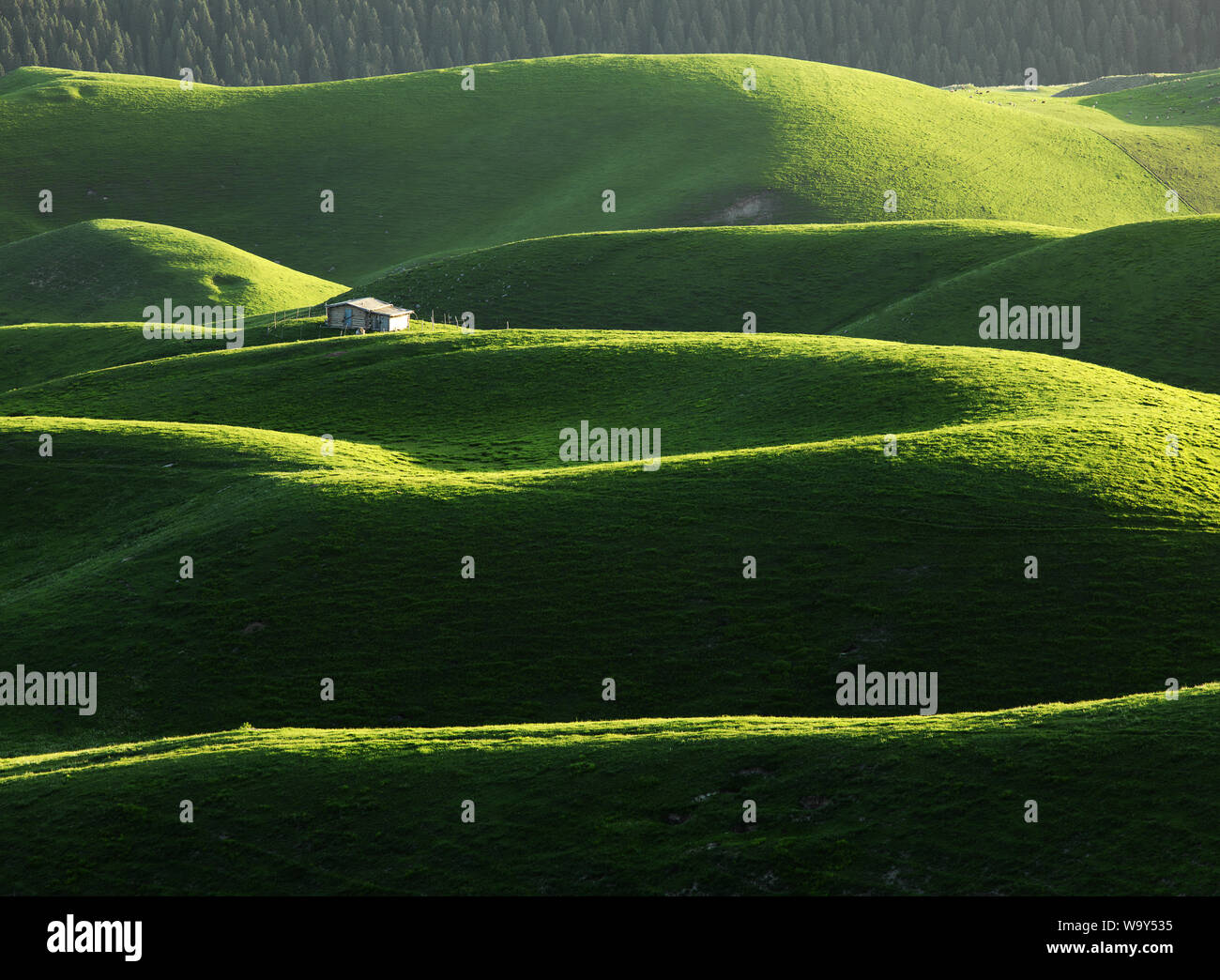 The prairie light Stock Photo - Alamy
