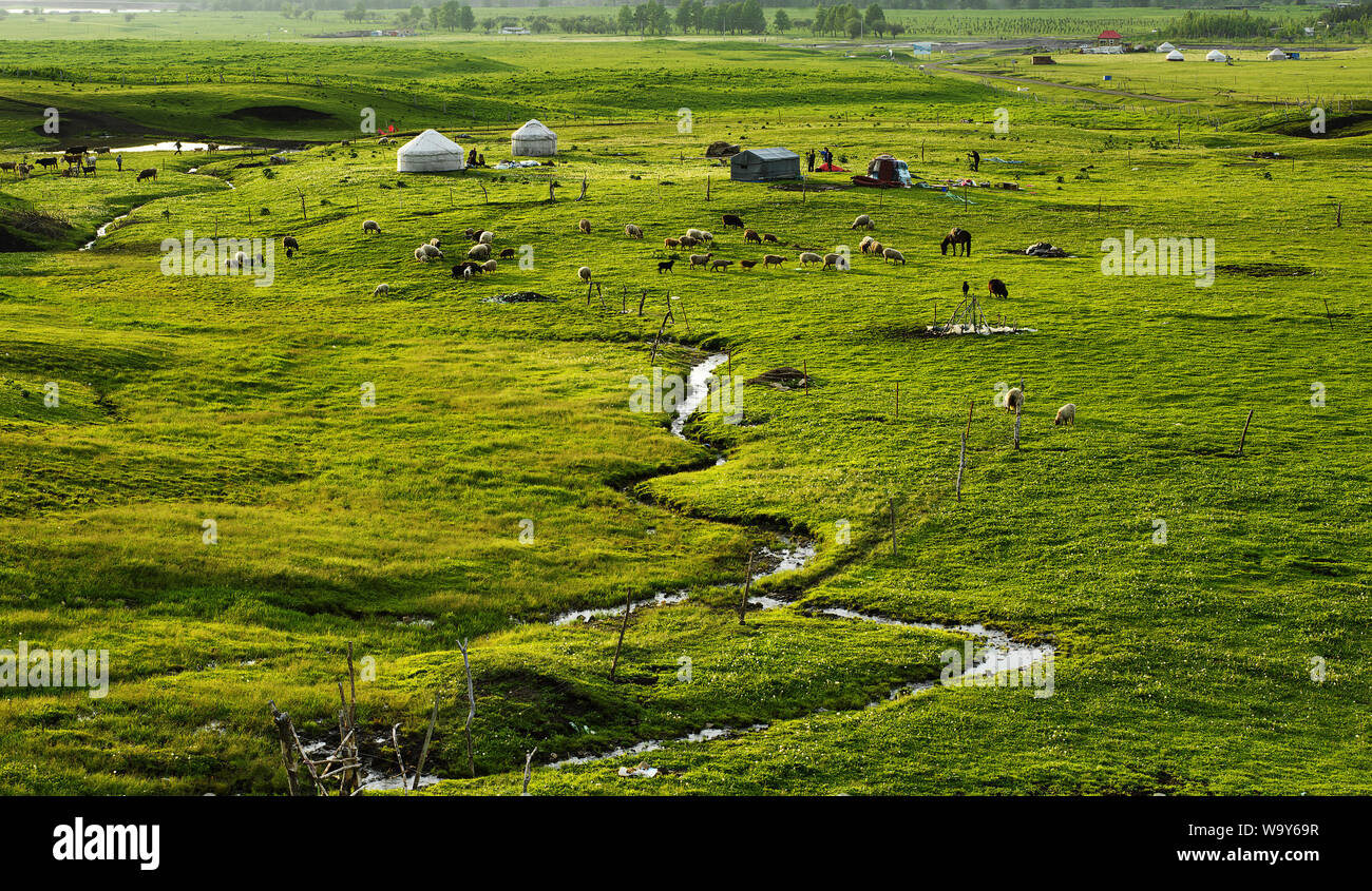 Beautiful grassland hi-res stock photography and images - Alamy
