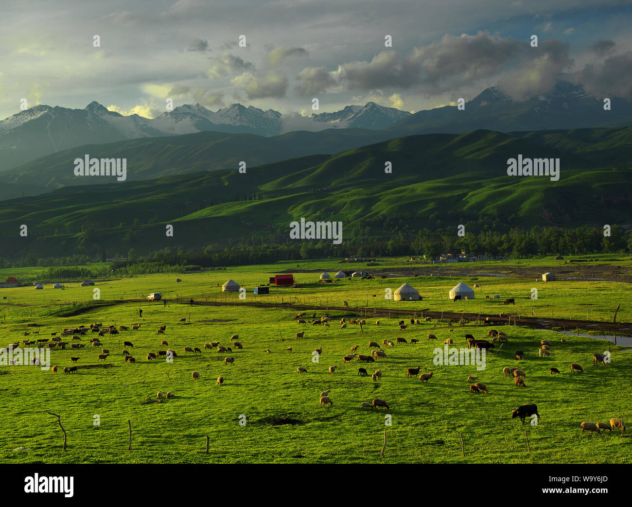 Beautiful grassland scenery hi-res stock photography and images - Alamy
