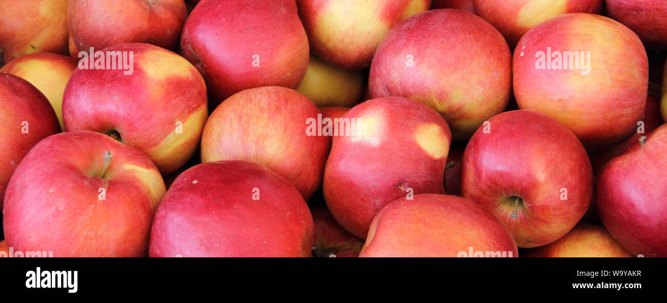 Colorful apples as a background Stock Photo - Alamy