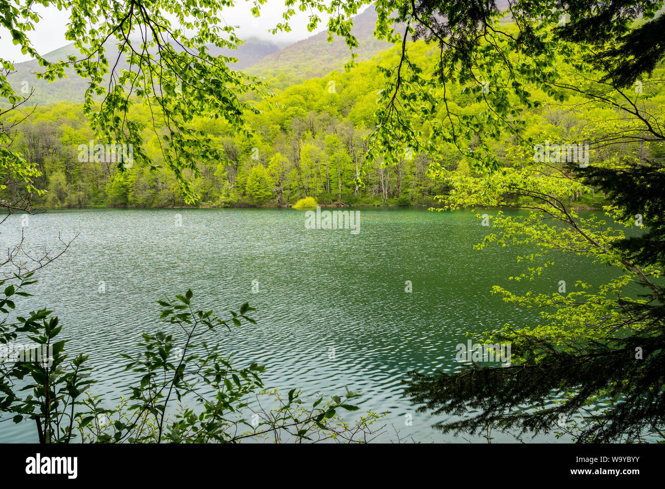 Montenegro, Green window out of primeval forest to biogradsko lake a ...