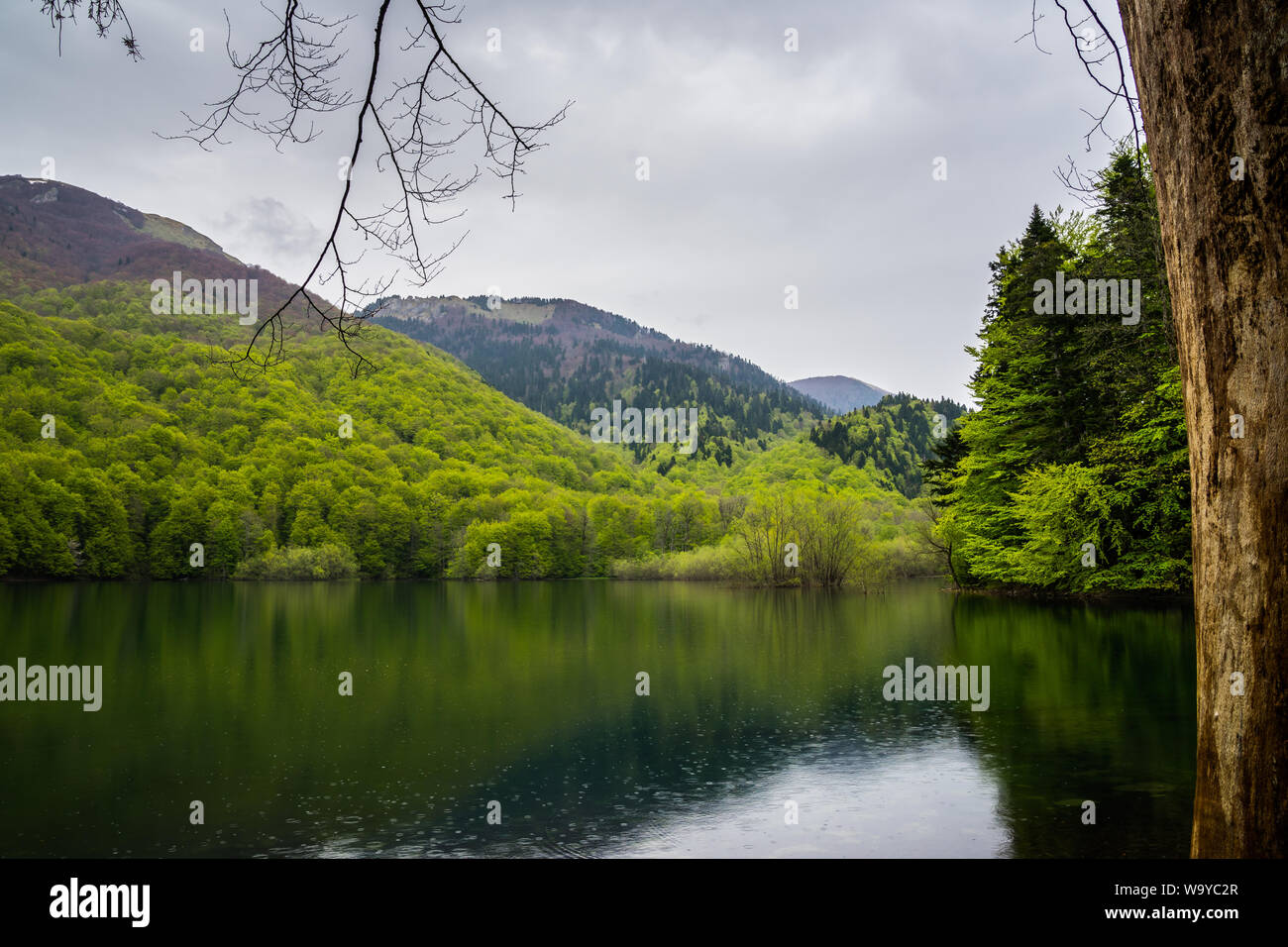 Montenegro, Glacial lake biogradsko surrounded by mountain ridge nature ...