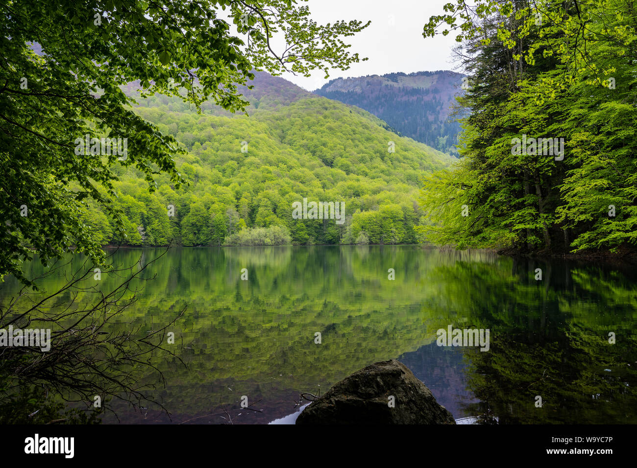 Montenegro, Green paradise nature landscape of trees surrounding ...
