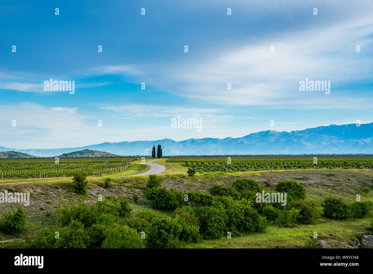 Montenegro, Road alongside beautiful green nature landscape surrounded ...